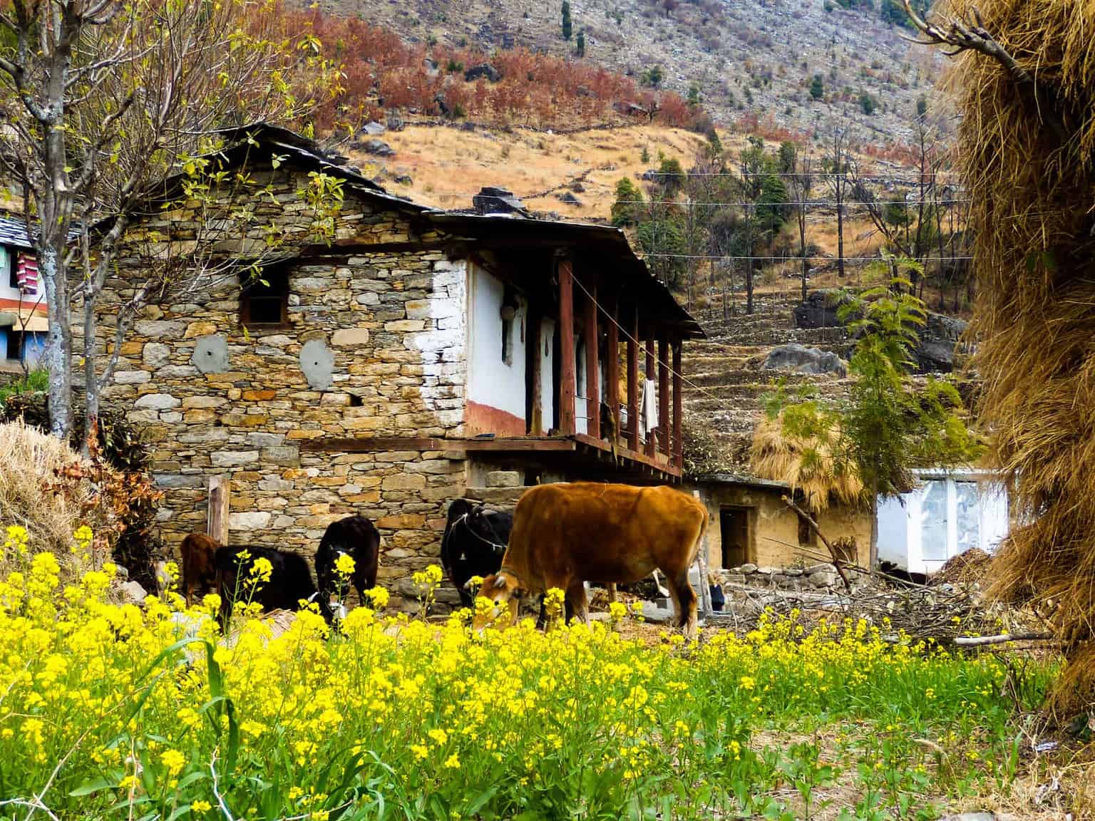 Badrinath - How to plan a trip [Complete Travel Guide] - Discover with ...