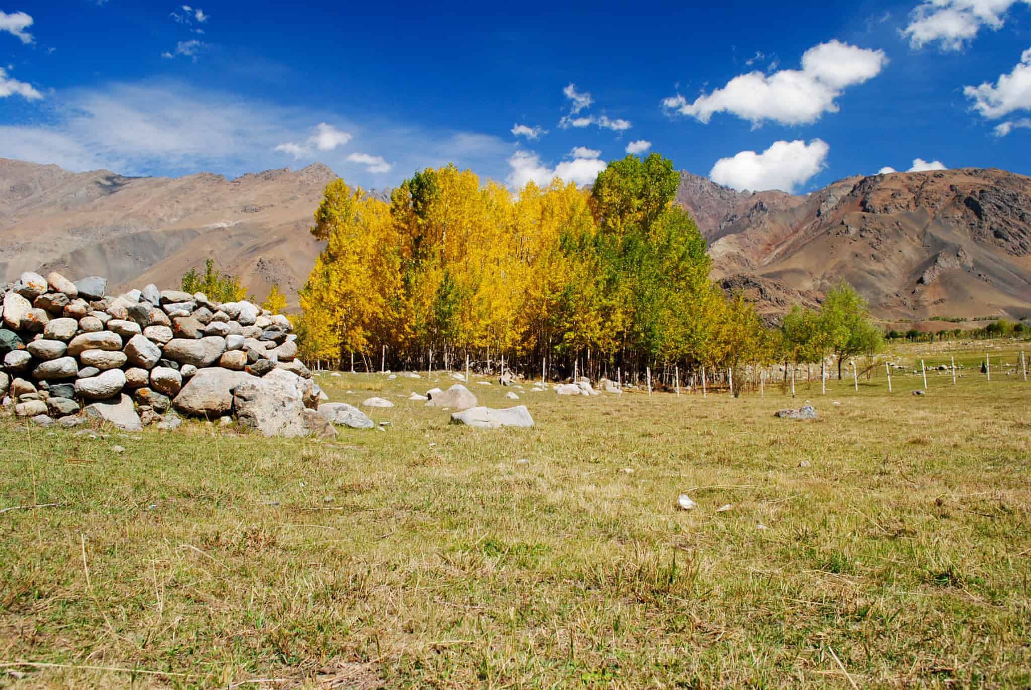 Srinagar to Leh Road Map With Distances for Tourists - DETAILED