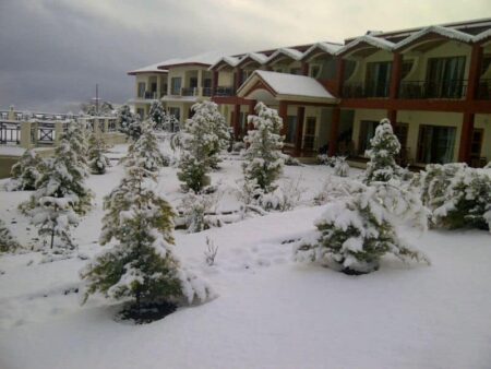 A Perfect Travel Guide of Chaukori for Tourists & Travelers