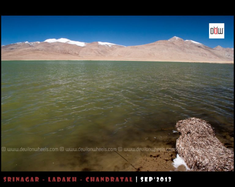 8 Lesser Known Lakes in Ladakh - Which ones have you visited?