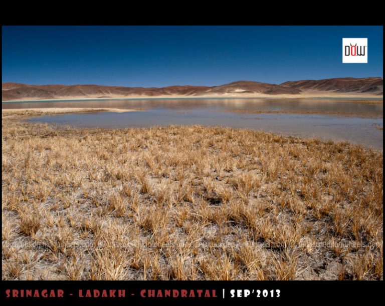 8 Lesser Known Lakes in Ladakh - Which ones have you visited?