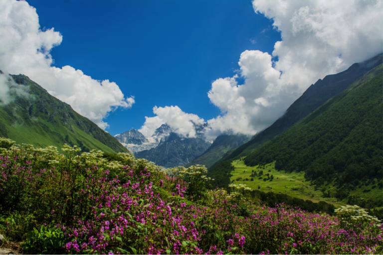 Valley of Flowers Trek - A COMPLETE Travel Guide for Travelers