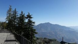 Narkanda – A Detailed Travel Guide for Tourists & Travelers