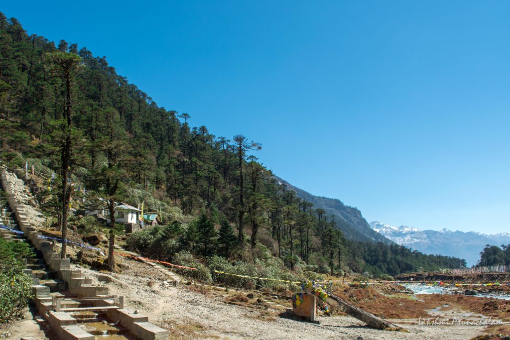 Yumthang Valley Guide - A Jack and Master of all seasons