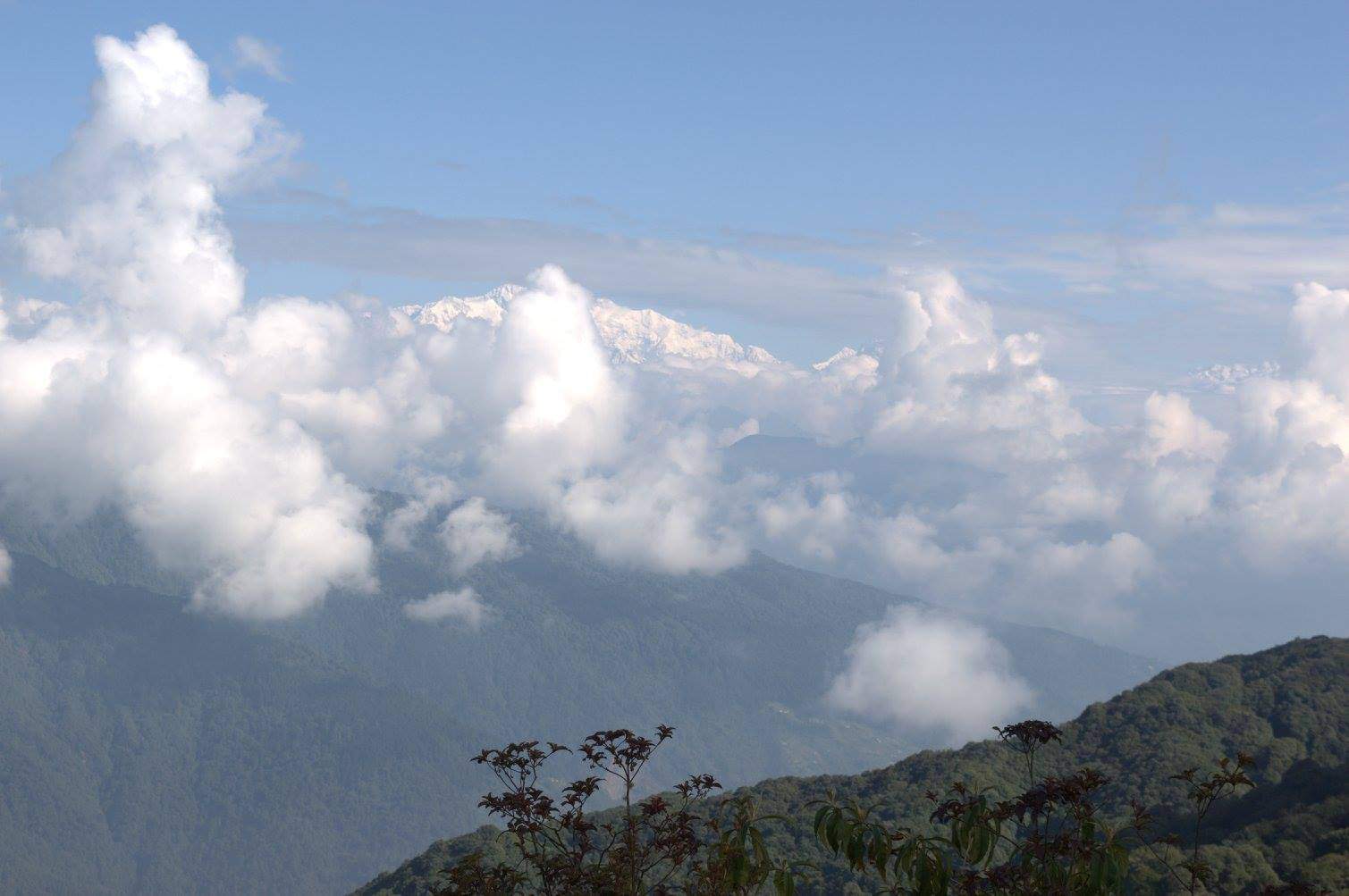 A COMPLETE Sandakphu Travel Guide for all Trekkers and Tourists