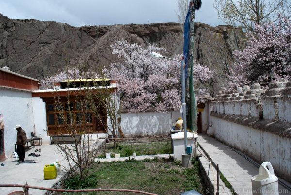 Alchi Monastery Leh Ladakh - A Complete Travel Guide
