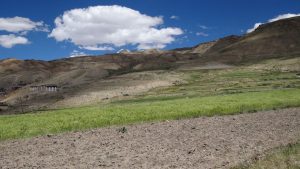 Kibber Village, Spiti Valley - A Detailed Travel Guide for Everyone