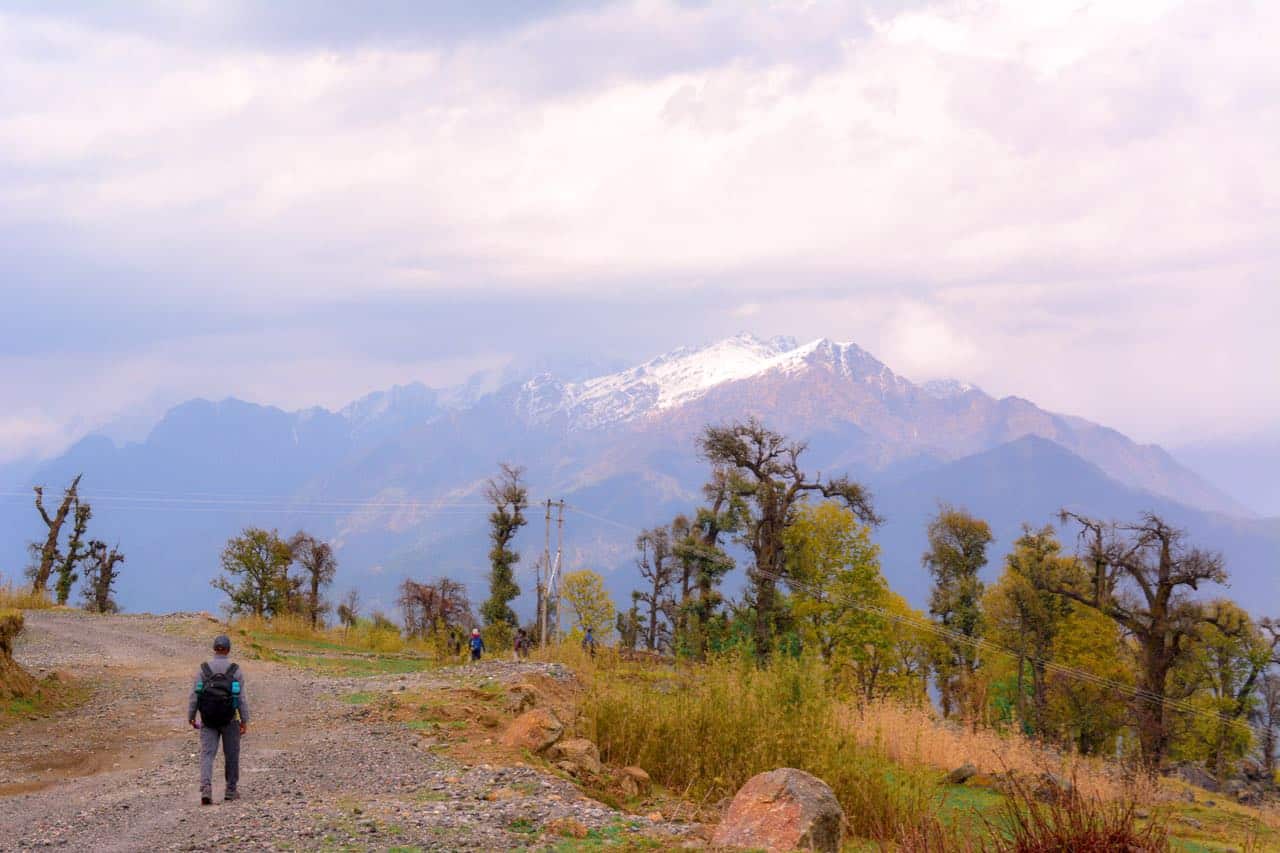 The Ultimate Munsiyari Travel Guide for Tourists & Travelers