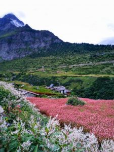 Darma Valley Trek in Kumaon – An Ultimate Travel Guide for Backpackers