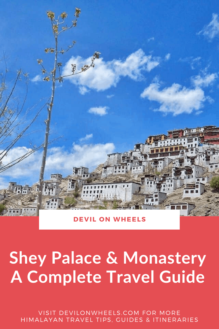 Shey Monastery & Palace - A Complete Travel Guide