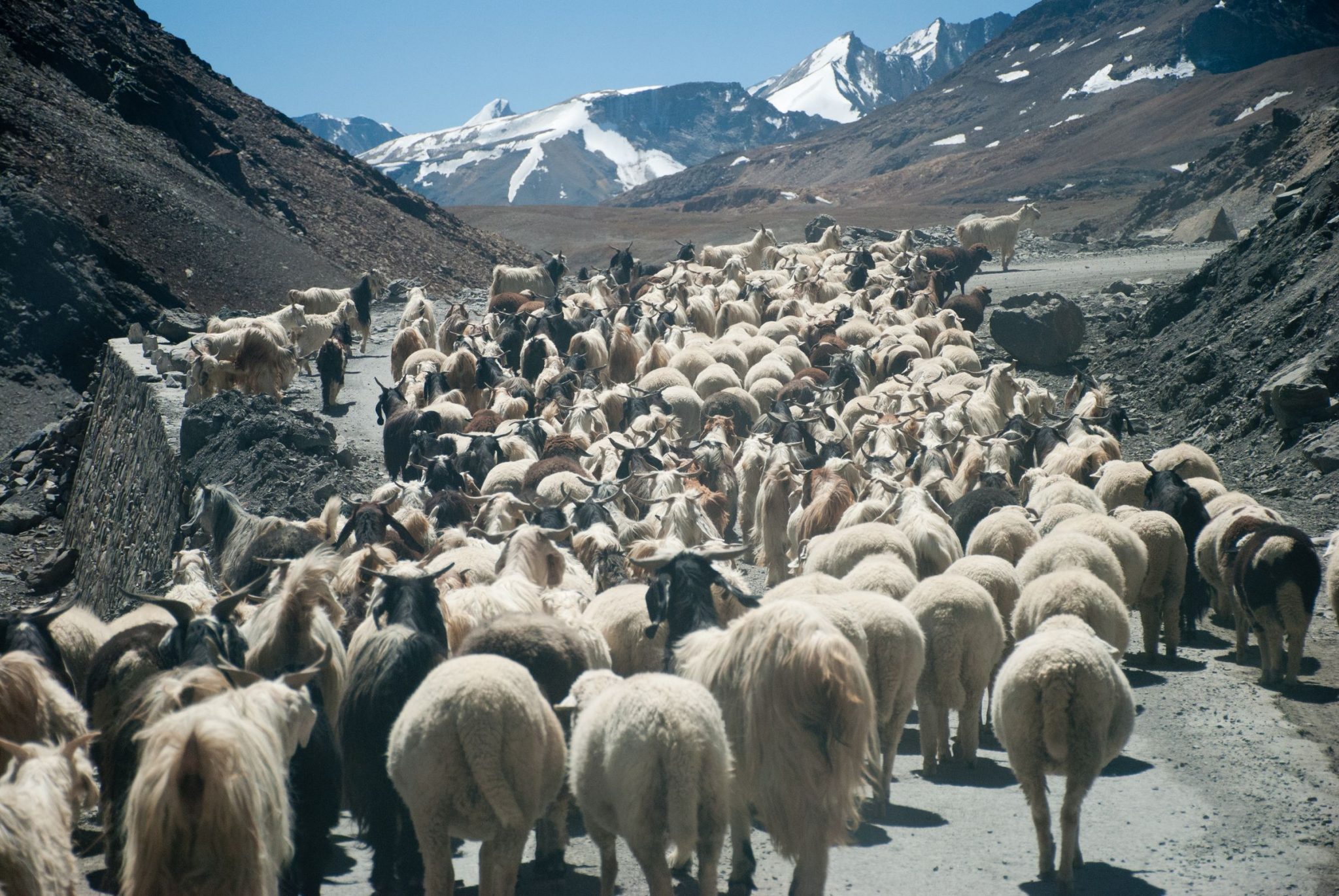 Lahaul Valley Travel Guide 2026 — Atal Tunnel, Budget & Itinerary
